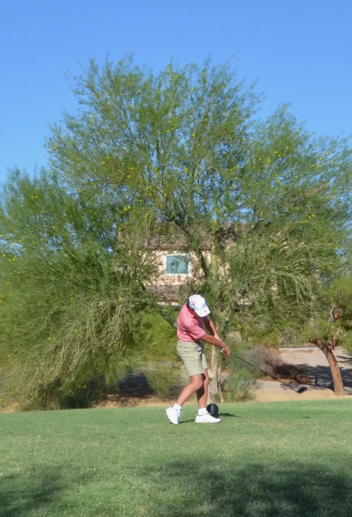 Max Perlman - Future Aviation Leader & Rising Golf Star | Student ...